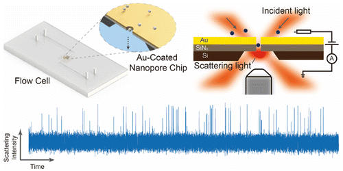 A Scattering Nanopore for Single Nanoentity Sensing,ACS Sensors - X-MOL