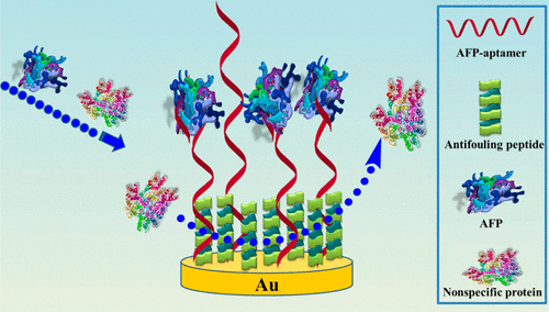 Mixed Self-Assembled Aptamer and Newly Designed Zwitterionic Peptide as ...
