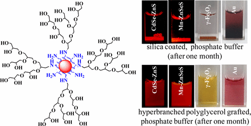 Hyperbranched Polyglycerol Grafting on the Surface of Silica-Coated ...