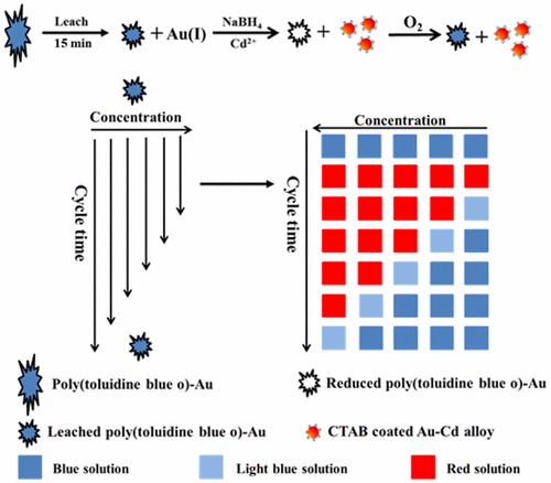 Visual and Label-Free Detection of Cadmium Ions Based on Oscillatory ...