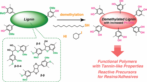Lignin Functionalization through Chemical Demethylation: Preparation ...
