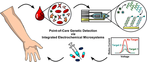 Integrated Electrochemical Microsystems for Genetic Detection of ...