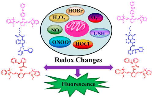 Redox-Responsive Fluorescent Probes with Different Design Strategies,Accounts of Chemical ...