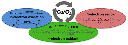Copper-Catalyzed Aerobic Oxidations of Organic Molecules: Pathways for ...