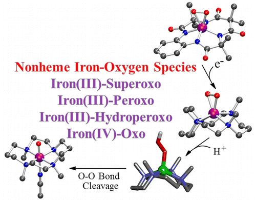 Synthetic Mononuclear Nonheme Iron–Oxygen Intermediates,Accounts of ...