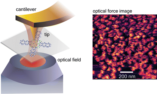 Linear and Nonlinear Optical Spectroscopy at the Nanoscale with ...