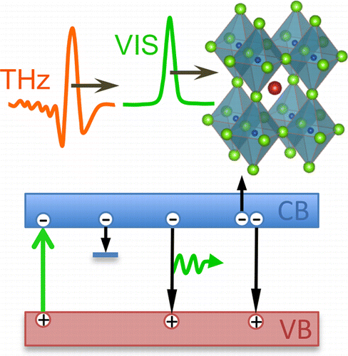 Hybrid Perovskites for Photovoltaics: Charge-Carrier Recombination ...