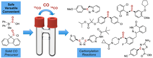 The Development and Application of Two-Chamber Reactors and Carbon ...
