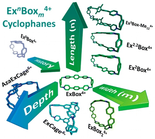 Supramolecular Explorations: Exhibiting the Extent of Extended Cationic ...