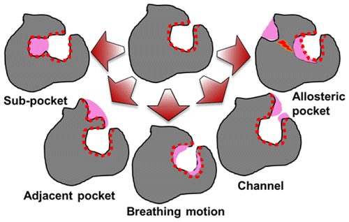 Protein Binding Pocket Dynamics,Accounts of Chemical Research - X-MOL