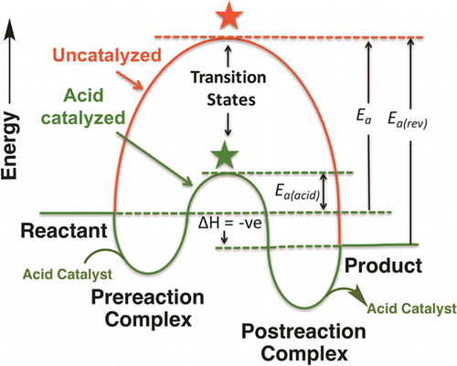 Role of Double Hydrogen Atom Transfer Reactions in Atmospheric ...