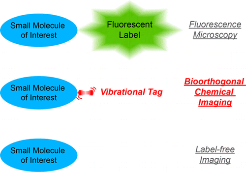Live-Cell Bioorthogonal Chemical Imaging: Stimulated Raman Scattering ...