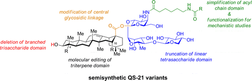 化学合成基于皂苷天然产物QS-21的改良疫苗佐剂的研制,Accounts of Chemical Research - X-MOL