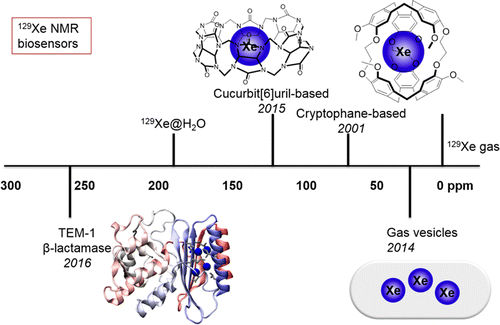 An Expanded Palette of Xenon-129 NMR Biosensors,Accounts of Chemical ...