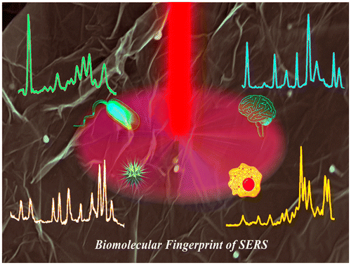 基于纳米架构的SERS用于生物分子指纹和无标记疾病标志物的诊断,Accounts of Chemical Research - X-MOL