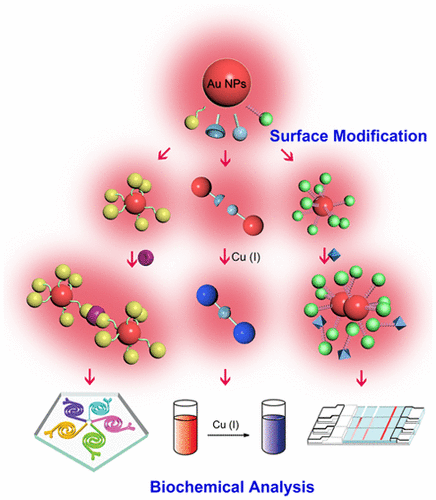 Surface Modification of Gold Nanoparticles with Small Molecules for ...
