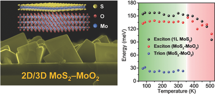 具有热稳定激子和引人入胜的电传输行为的大面积2D / 3D MoS2-MoO2异质结构,Advanced Electronic ...