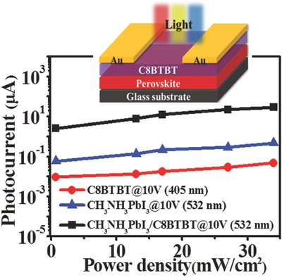 基于CH3NH3PbI3 / C8BTBT异质结的高性能宽带钙钛矿光电探测器,Advanced Electronic Materials ...