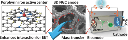 3D Macroporous Nitrogen‐Enriched Graphitic Carbon Scaffold for ...