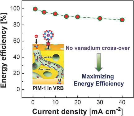 Ultra‐High Proton/Vanadium Selectivity for Hydrophobic Polymer ...