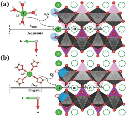 锂离子电池LiFePO4纳米晶体的单颗粒性能和性能,Advanced Energy Materials - X-MOL