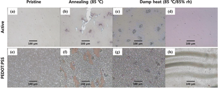 Critical Impact of Hole Transporting Layers and Back Electrode on the ...