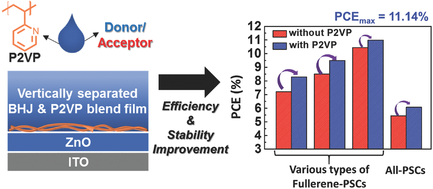 Self‐Organization of Polymer Additive, Poly(2‐vinylpyridine) via One ...