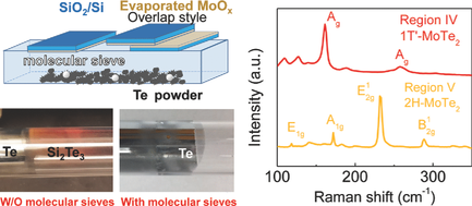 Role of Molecular Sieves in the CVD Synthesis of Large‐Area 2D MoTe2 ...