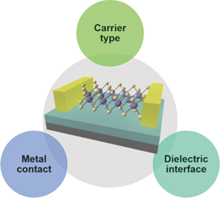 Doping, Contact and Interface Engineering of Two-Dimensional Layered Transition Metal ...