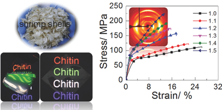 Extremely Strong and Transparent Chitin Films: A High‐Efficiency ...
