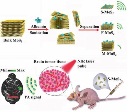 Single‐Layer MoS2 Nanosheets with Amplified Photoacoustic Effect for Highly Sensitive ...