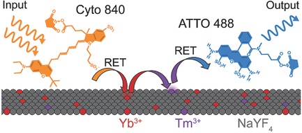 Upconverting Nanoparticle Relays for Resonance Energy Transfer Networks ...