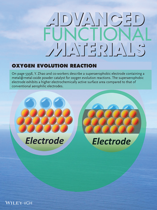 Oxygen Evolution Reaction: Superaerophobic Electrode with Metal@Metal ...