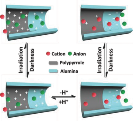 Organic/Inorganic Hybrid Nanochannels Based on Polypyrrole‐Embedded Alumina Nanopore Arrays: pH ...