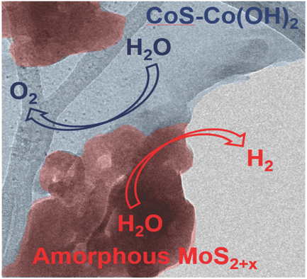 One‐Step Synthesis of CoS‐Doped β‐Co(OH)2@Amorphous MoS2+x Hybrid ...