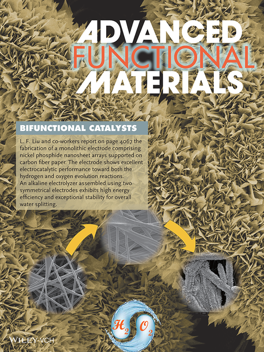 Bifunctional Catalysts: Bifunctional Nickel Phosphide Nanocatalysts Supported on Carbon Fiber ...
