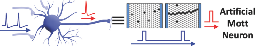 A Leaky‐Integrate‐and‐Fire Neuron Analog Realized with a Mott Insulator ...