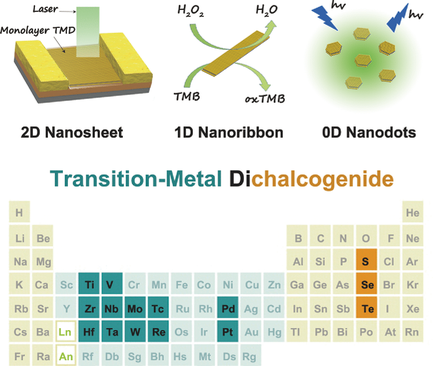 Low‐Dimensional Transition Metal Dichalcogenide Nanostructures Based Sensors,Advanced Functional ...