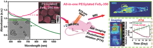 Design and Synthesis of “All‐in‐One” Multifunctional FeS2 Nanoparticles ...