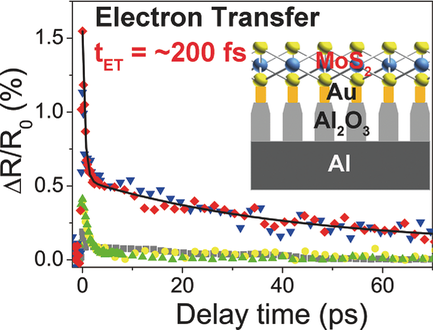 Ultrafast Plasmonic Hot Electron Transfer in Au Nanoantenna/MoS2 Heterostructures,Advanced ...