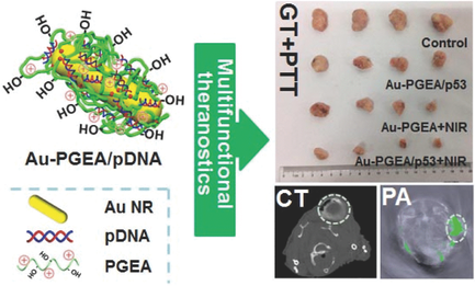 Hierarchical Nanohybrids of Gold Nanorods and PGMA‐Based Polycations ...