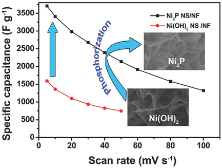 Ultrahigh‐Performance Pseudocapacitor Electrodes Based on Transition Metal Phosphide Nanosheets ...
