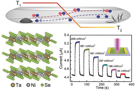 用于高性能红外光电探测器的三元Ta2NiSe5薄片,Advanced Functional Materials - X-MOL