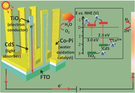 Solar Water Splitting by TiO2/CdS/Co–Pi Nanowire Array Photoanode ...