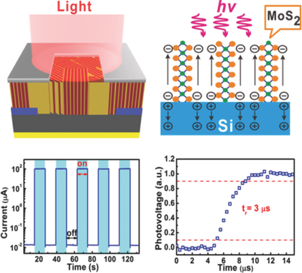 MoS2/Si Heterojunction with Vertically Standing Layered Structure for ...