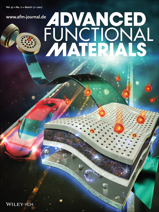 Li-O2 Batteries: Large-Scale LiO2 Pouch Type Cells for Practical ...