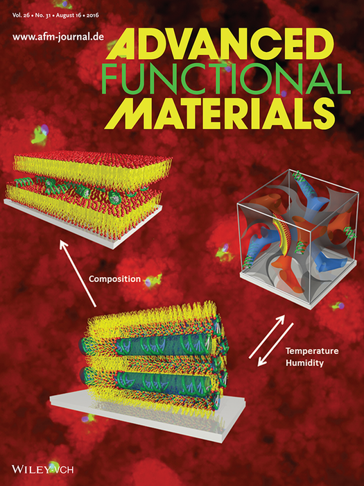 Lipid Films: Soft Nanostructured Films for Actuated Surface‐Based siRNA Delivery (Adv. Funct ...