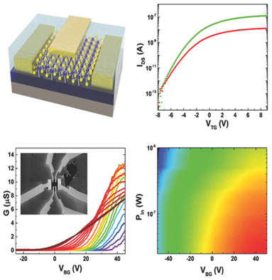 基于ReS2的场效应晶体管和光电探测器,Advanced Functional Materials - X-MOL