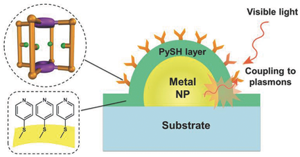 Metal–Organic Polyhedra Cages Immobilized on a Plasmonic Substrate for ...