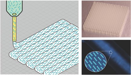 Cellulose Nanocrystal Inks for 3D Printing of Textured Cellular ...